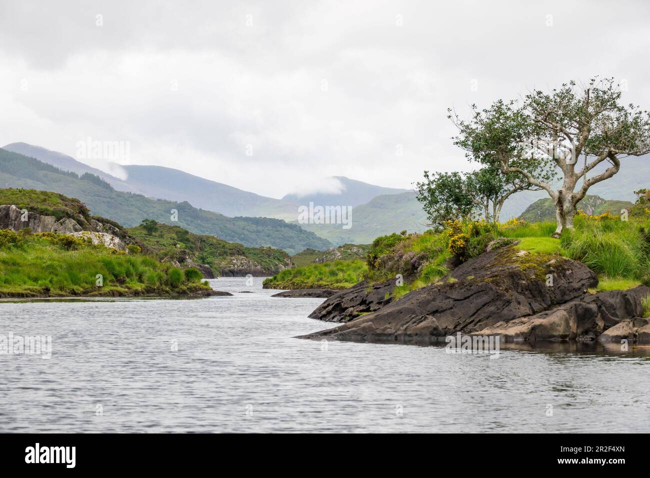 Upper Lake, Killarney National Park, County Kerry, Ireland, Europe ...