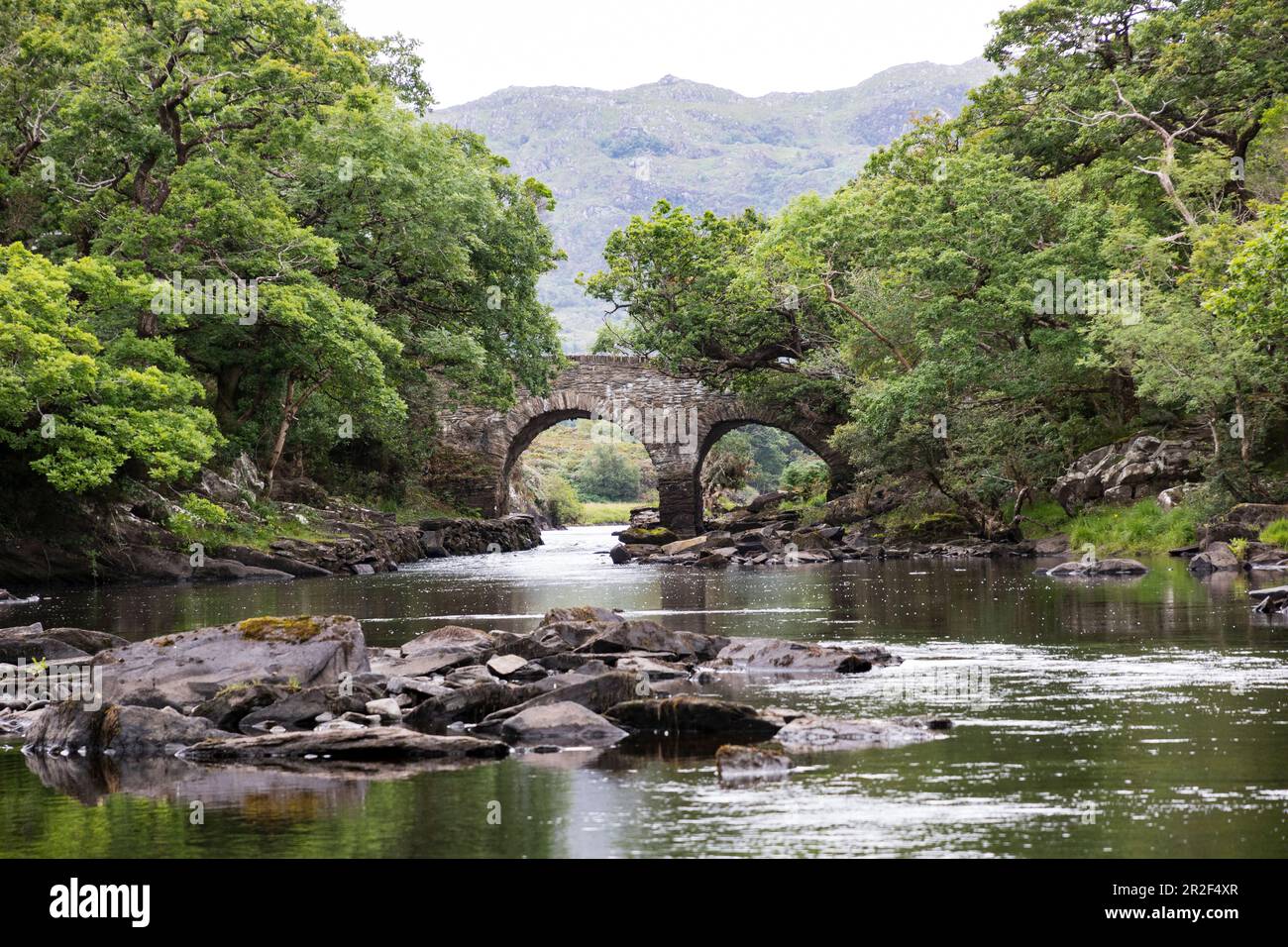 Stone bridge on Muckross Lake, Killarney National Park, County Kerry ...