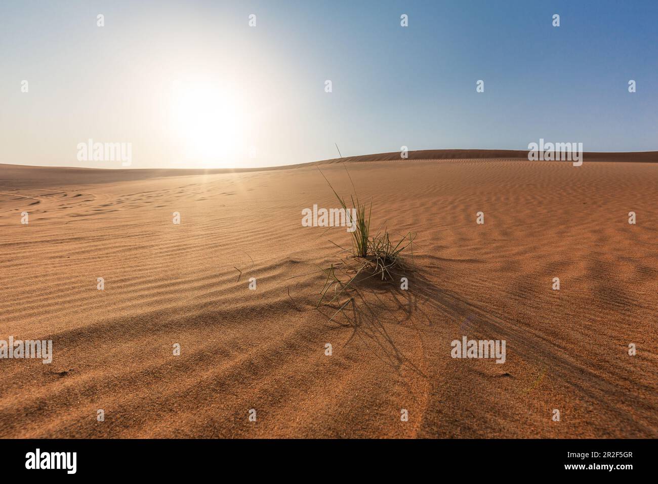 Dubai countryside hi-res stock photography and images - Alamy