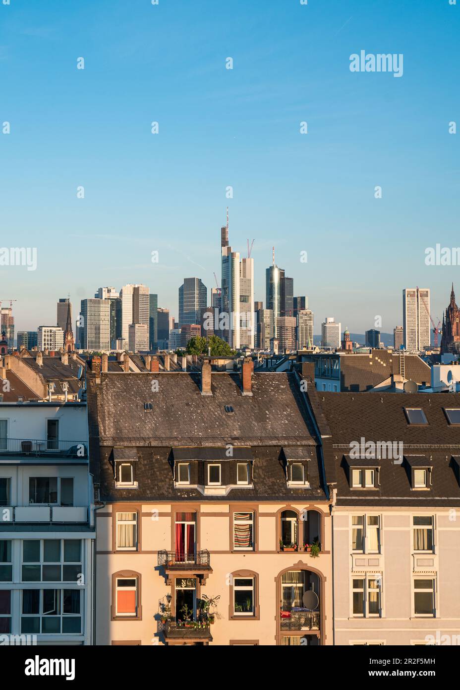 View from Sachsenhausen on the skyline of Frankfurt, Germany Stock Photo - Alamy
