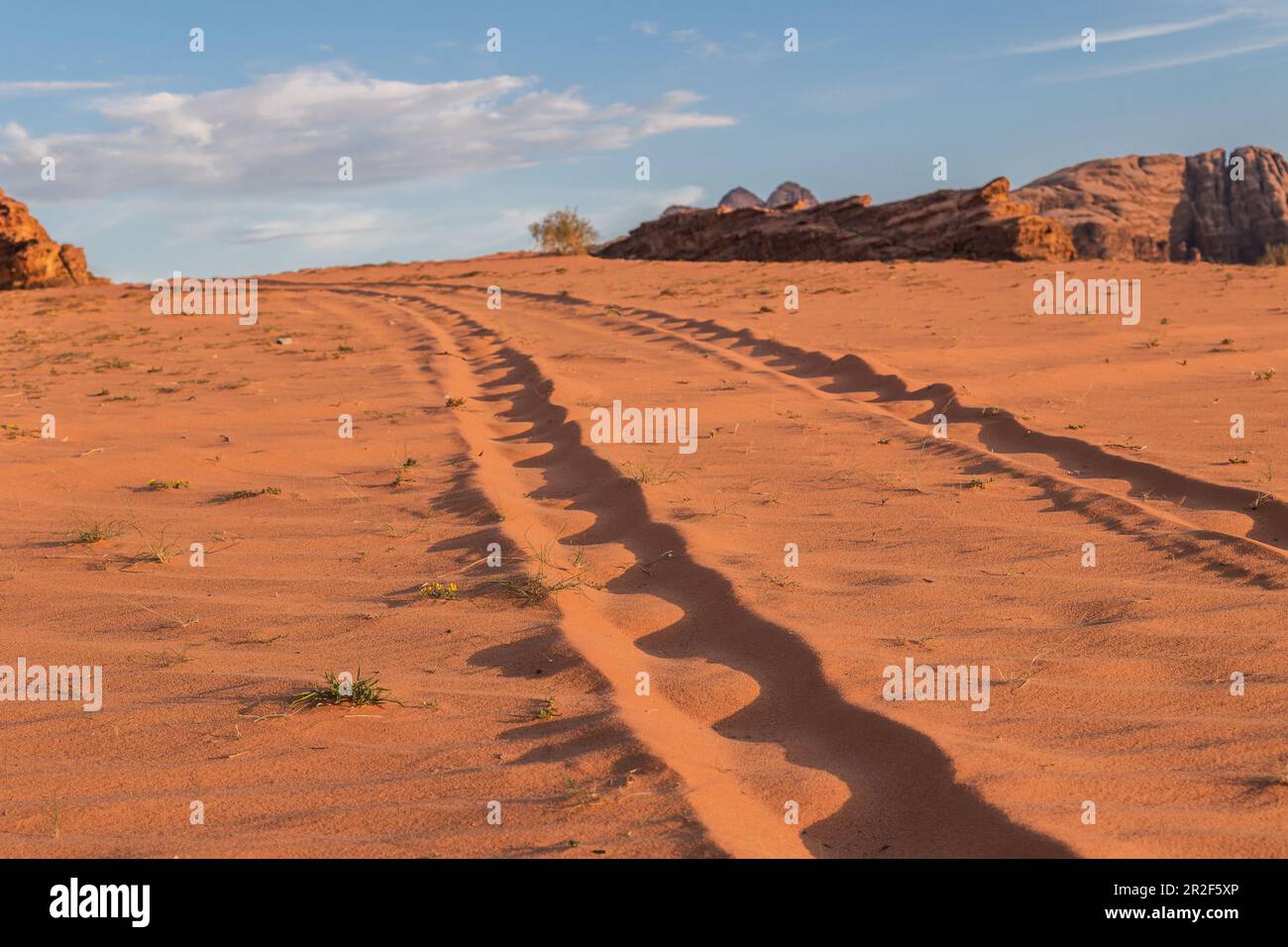 Car tracks in the Wadi Rum desert in Jordan Stock Photo - Alamy