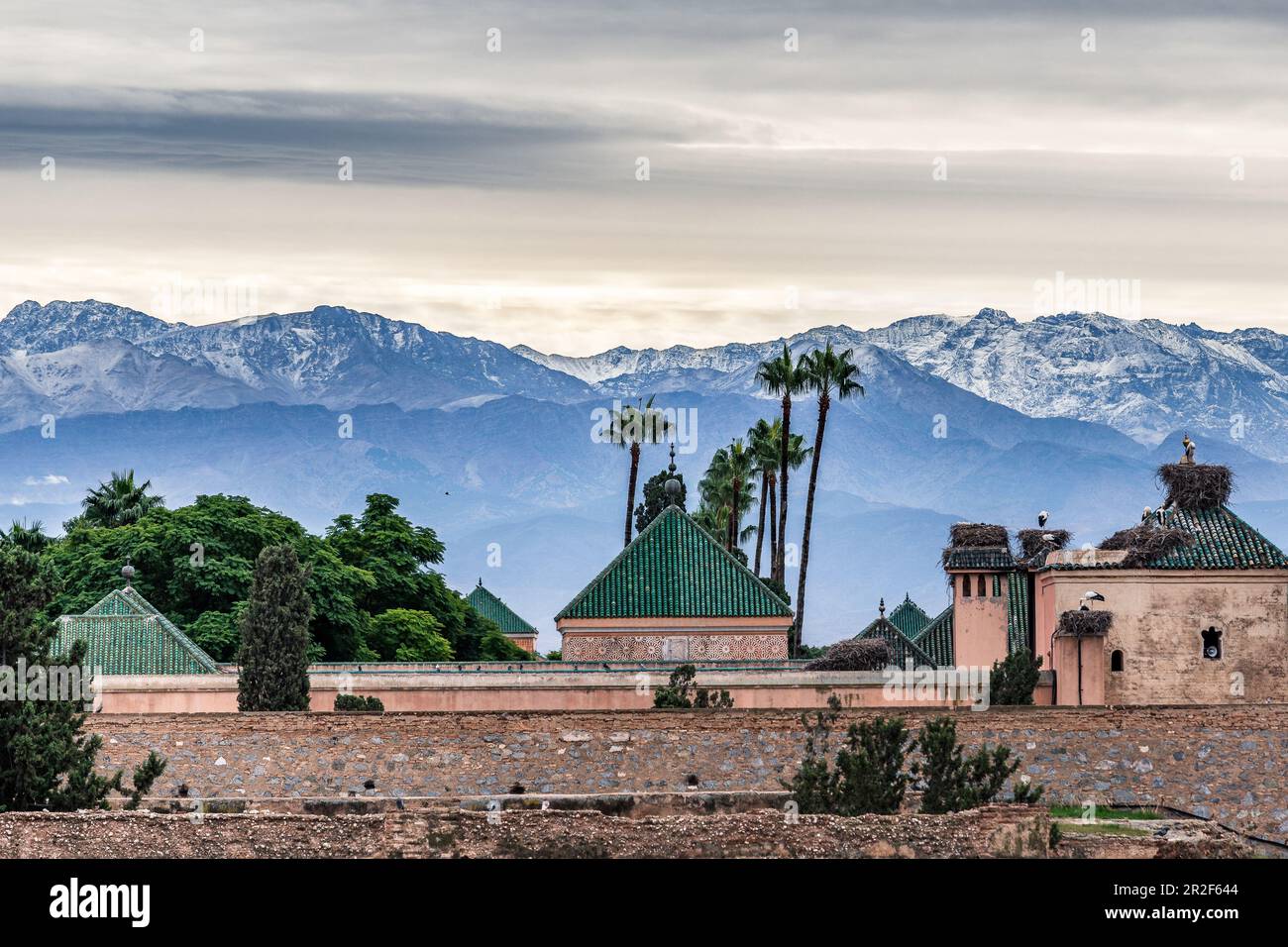 View of atlas mountains from marrakech hi-res stock photography and ...