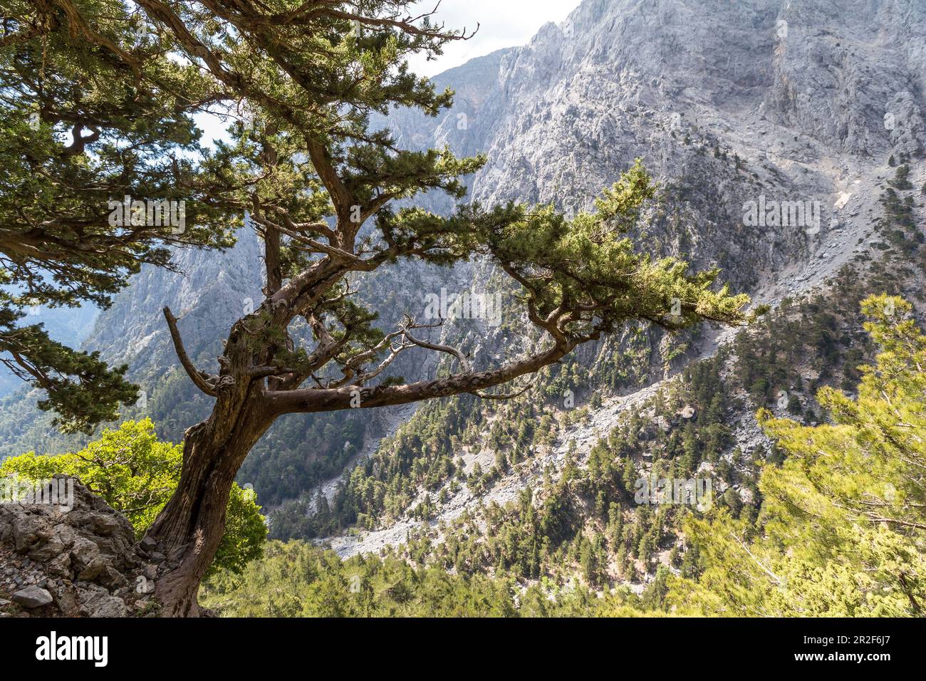 View from starting point of the Samaria Gorge hike, West Crete, Greece ...