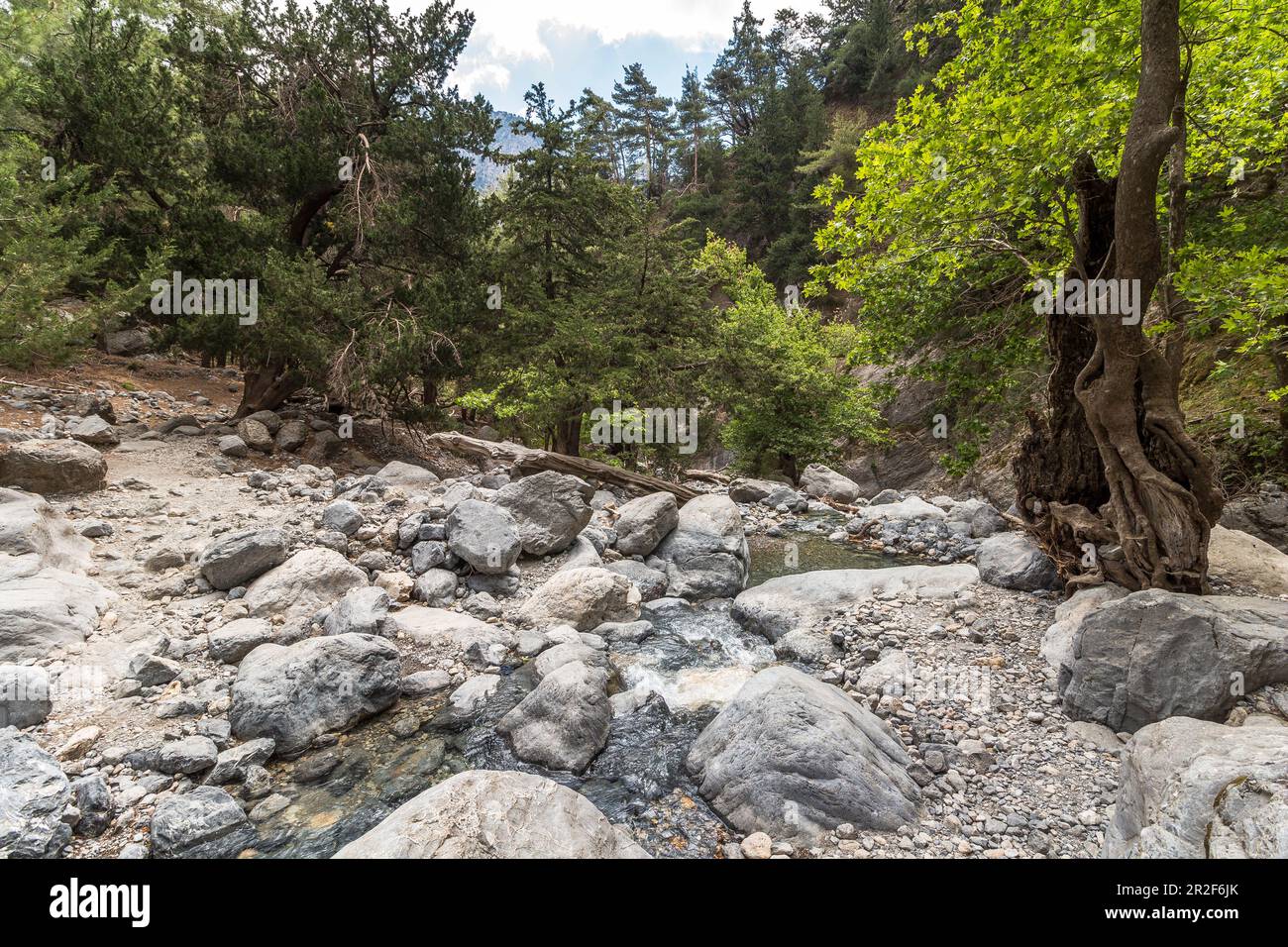 River course during descent on the Samaria Gorge hike, West Crete ...