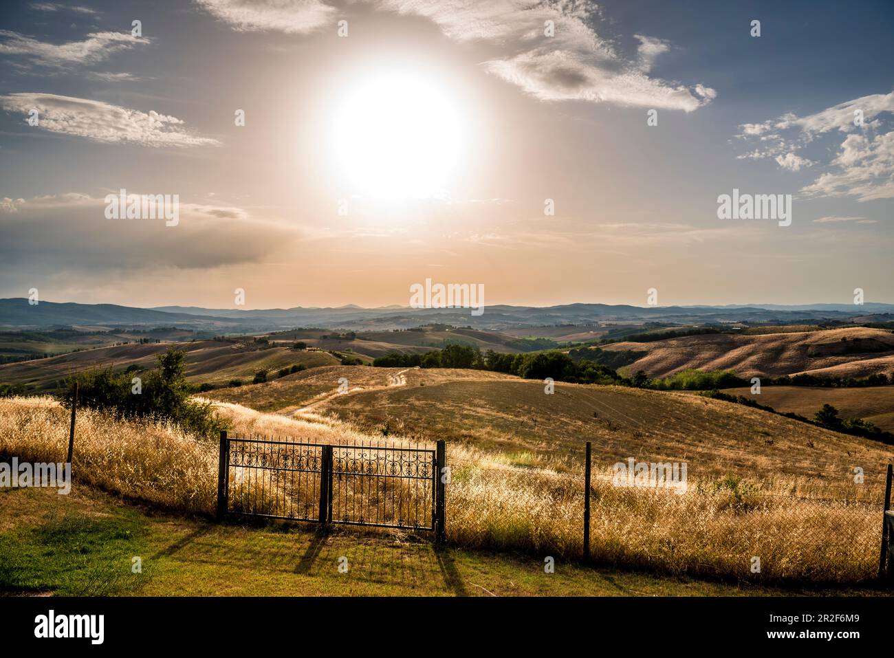 Hilly landscape with sunburnt fields in midsummer, Buonconvento ...