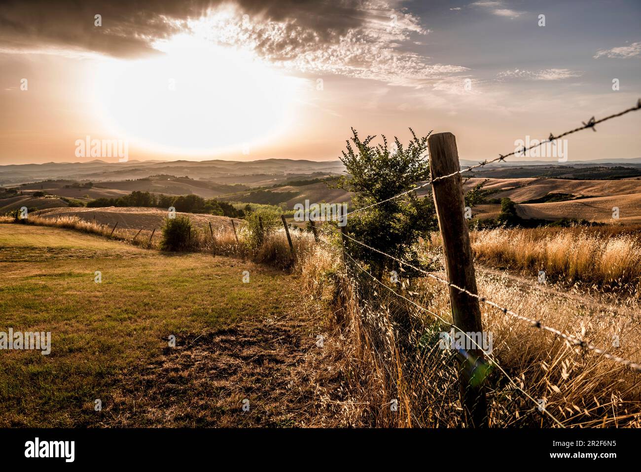 Hilly landscape with sunburnt fields in midsummer, Buonconvento ...