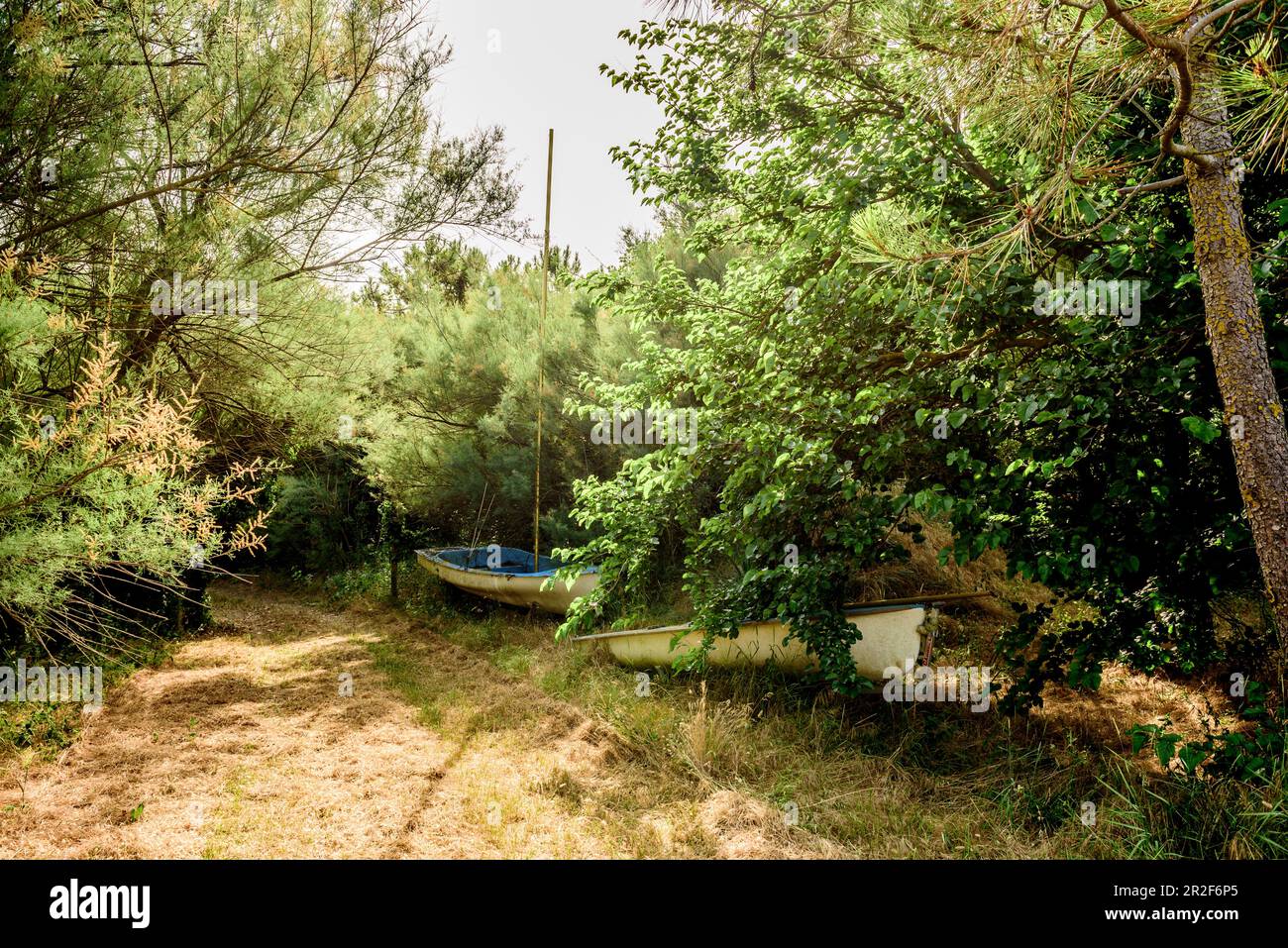 Boat under trees hi-res stock photography and images - Alamy
