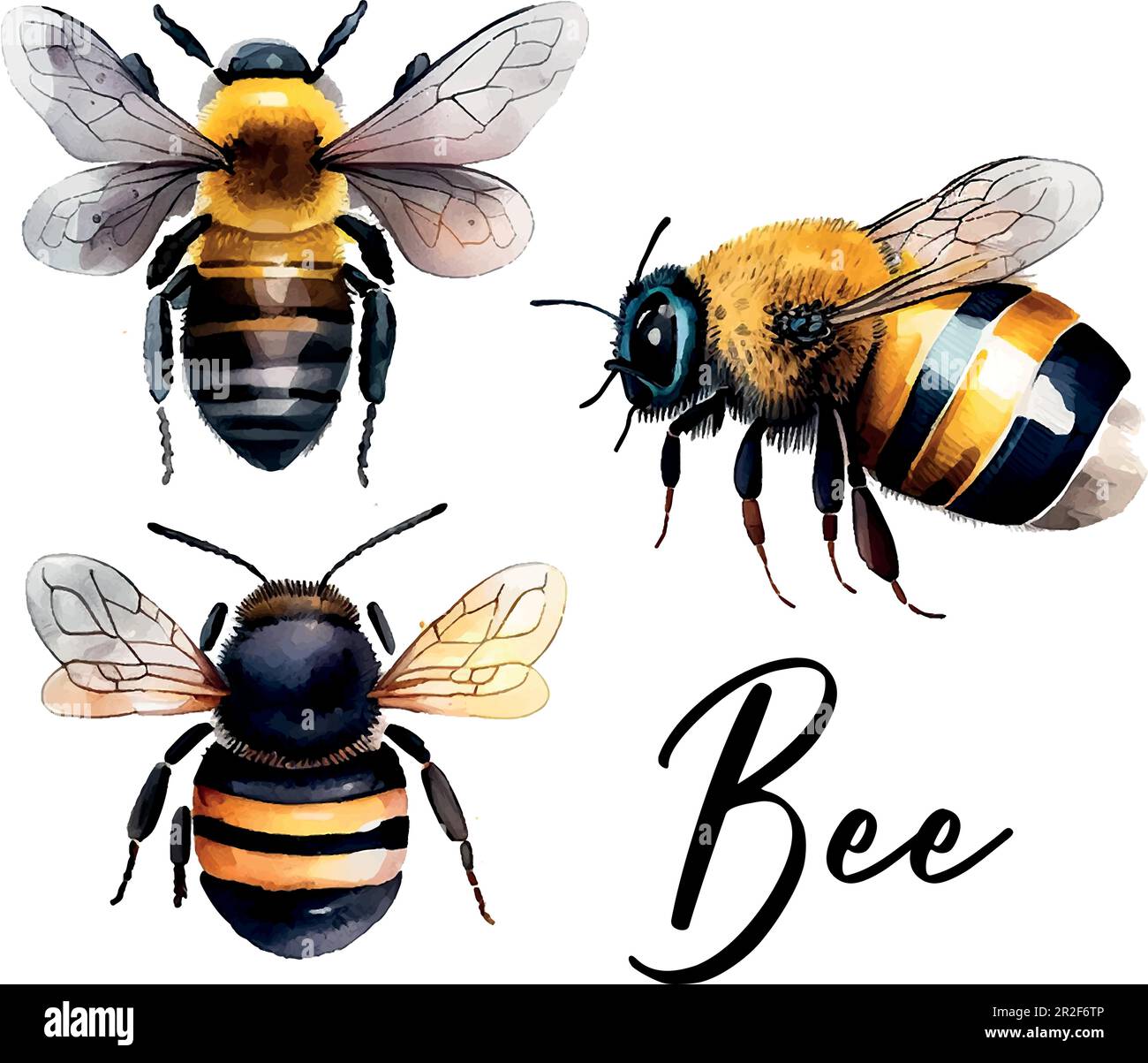Colorful bee watercolor in beautiful style. Hand drawn vector ...