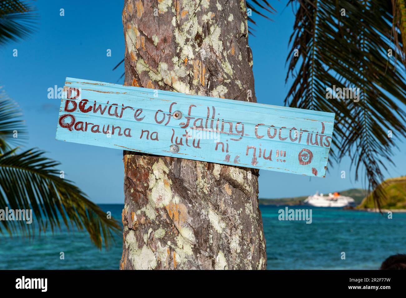 A bilingual sign on the trunk of a palm tree warns visitors of falling ...