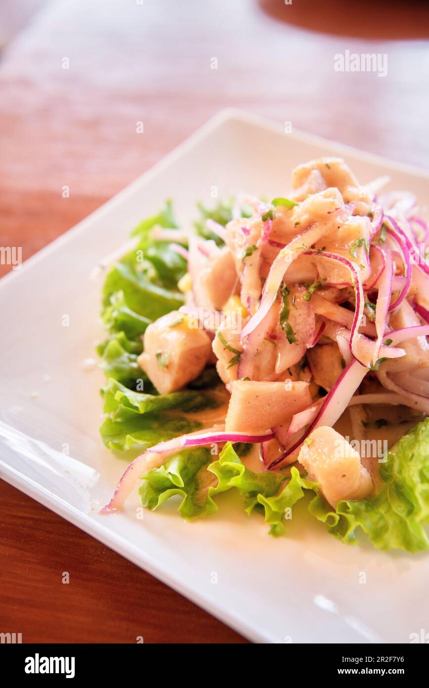 Peruvian national dish, Ceviche, San Pedro de Atacama, Atacama Desert ...