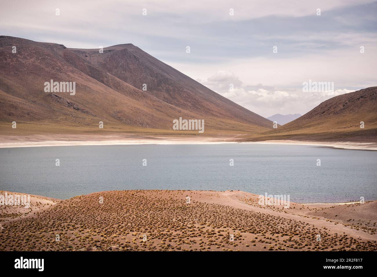 Laguna Miscanti and Miñiques, "Altiplano" plateau, Atacama desert ...
