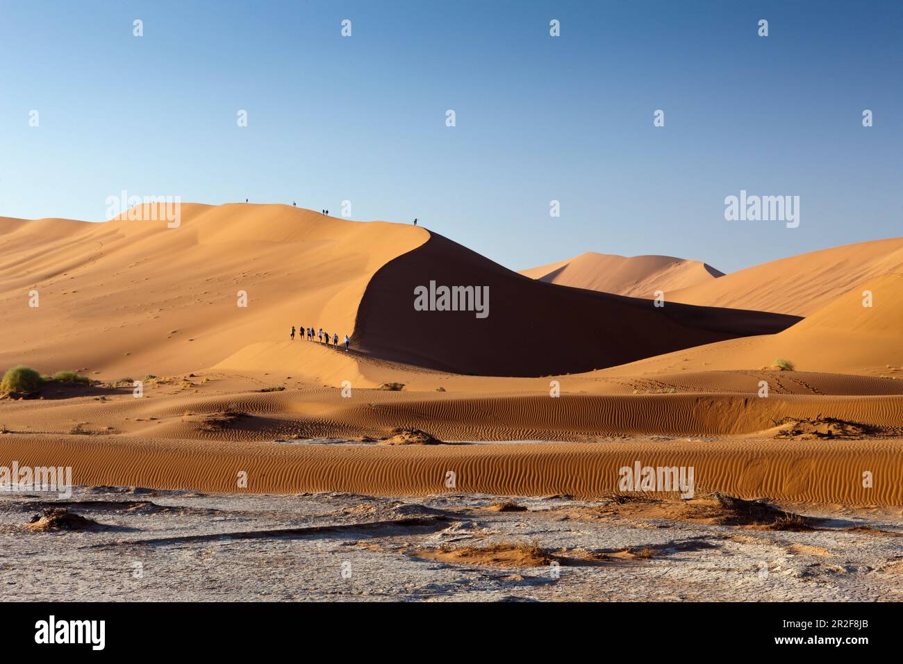 Tourists climb Big Daddy Dune, Namib Naukluft Park, Namibia Stock Photo ...