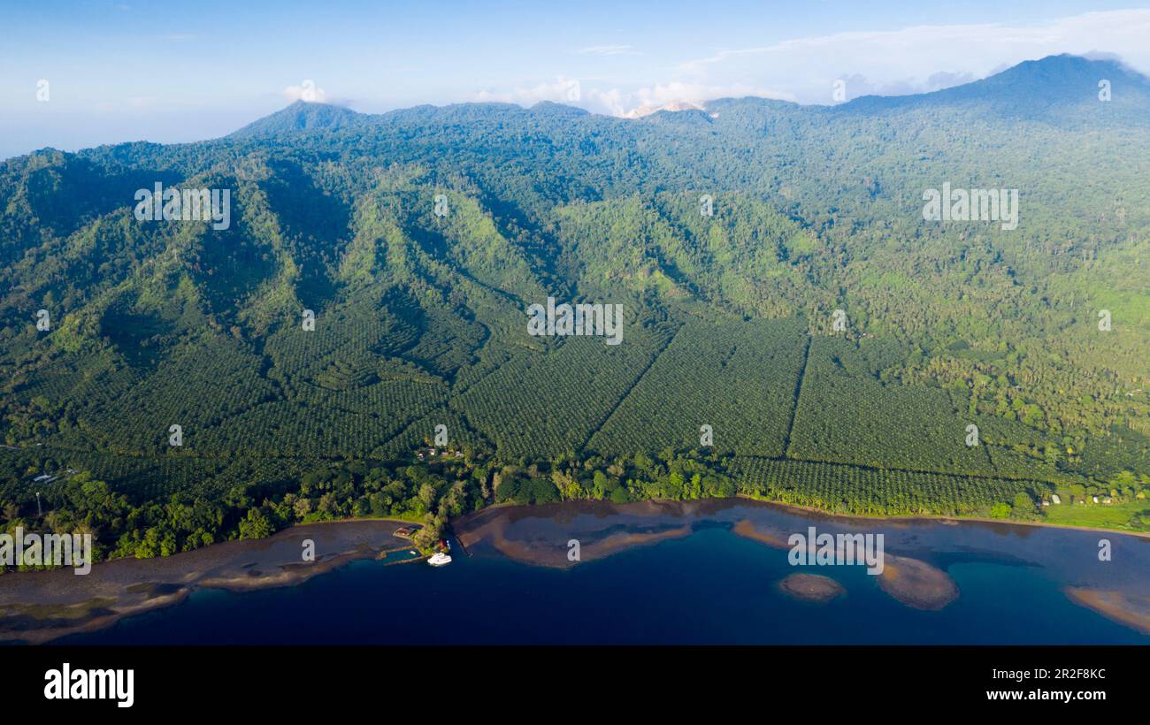 Walindi Plantation Resort, Kimbe Bay, New Britain, Papua New Guinea ...