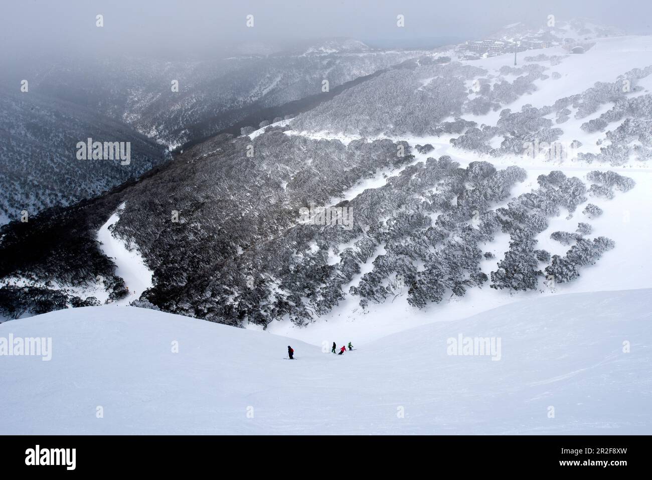 Slopes below the ski village of Mt. Hotham, Victoria, Australia Stock ...