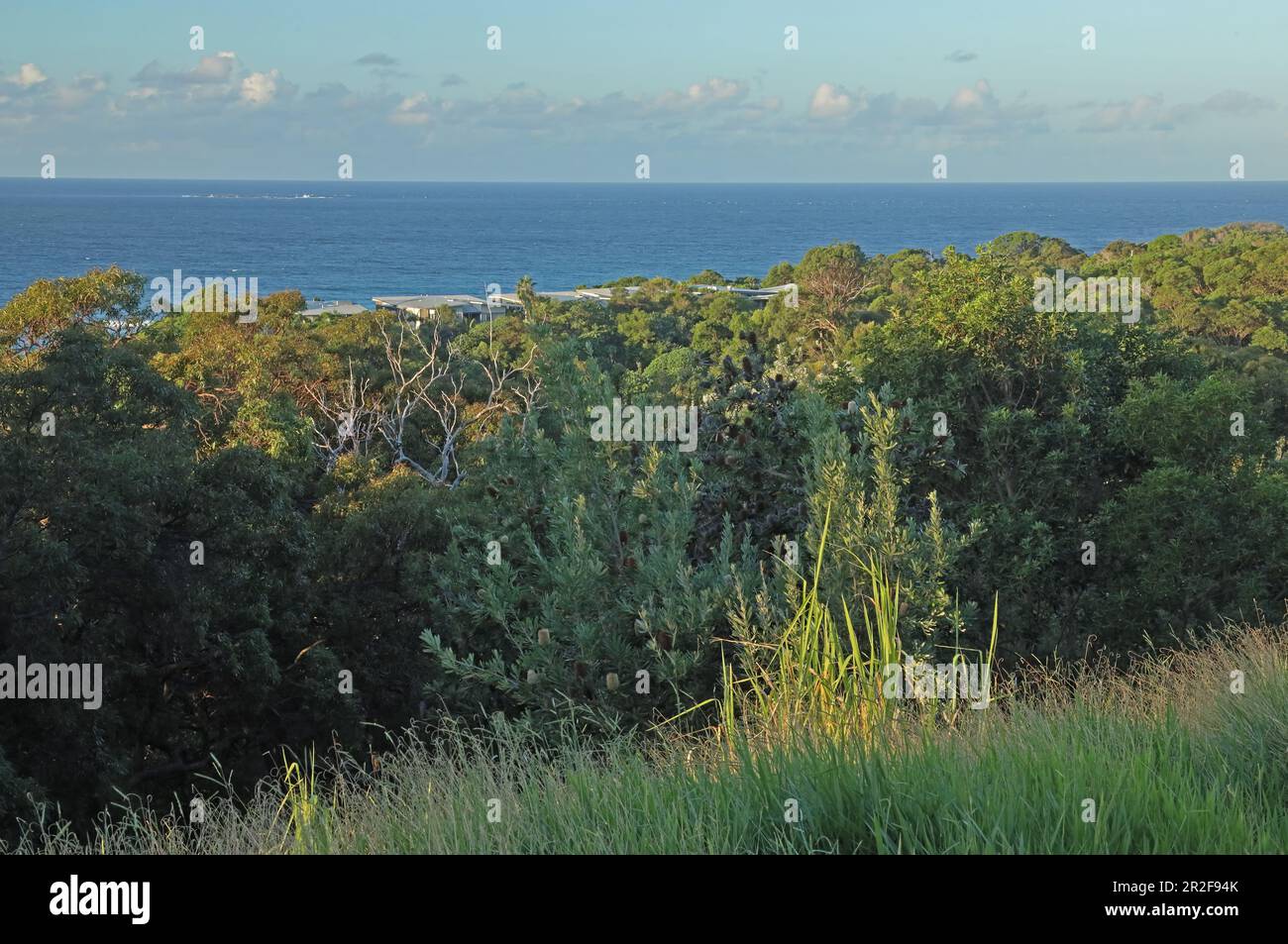 view over Point Lookout to the sea Point Lookout, North Stradbroke ...