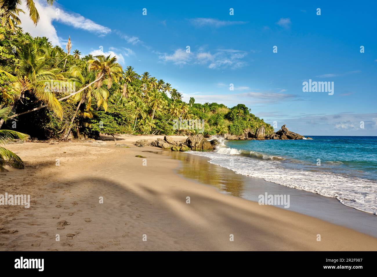Samana Bay, Dominican Republic, Central America Stock Photo - Alamy