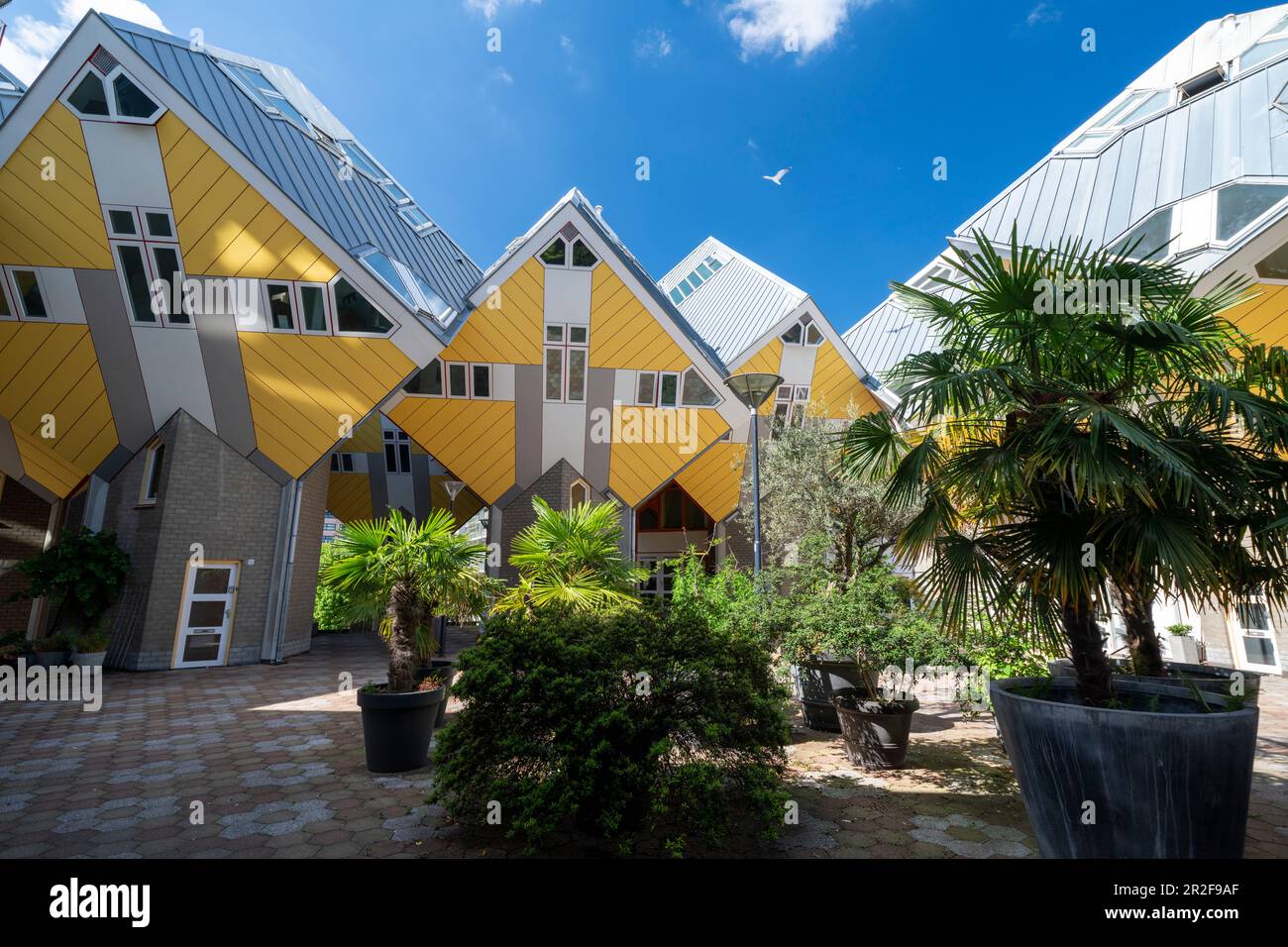 Cube houses by architect Piet Blom in sunshine and blue sky, Overblaak ...