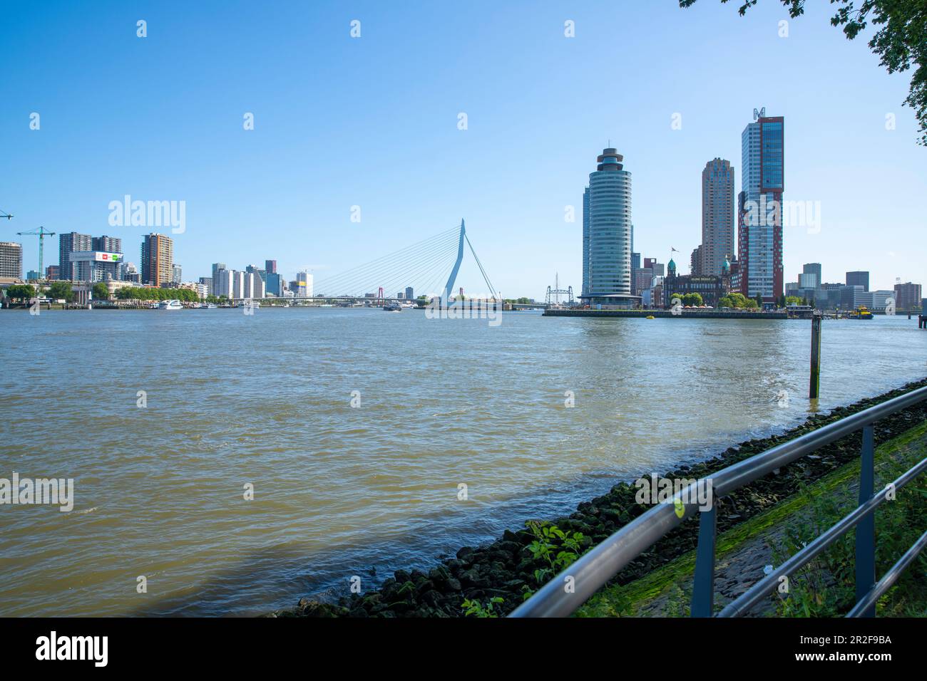 View over the New Meuse to the new district of Kop van Zuid. With the ...
