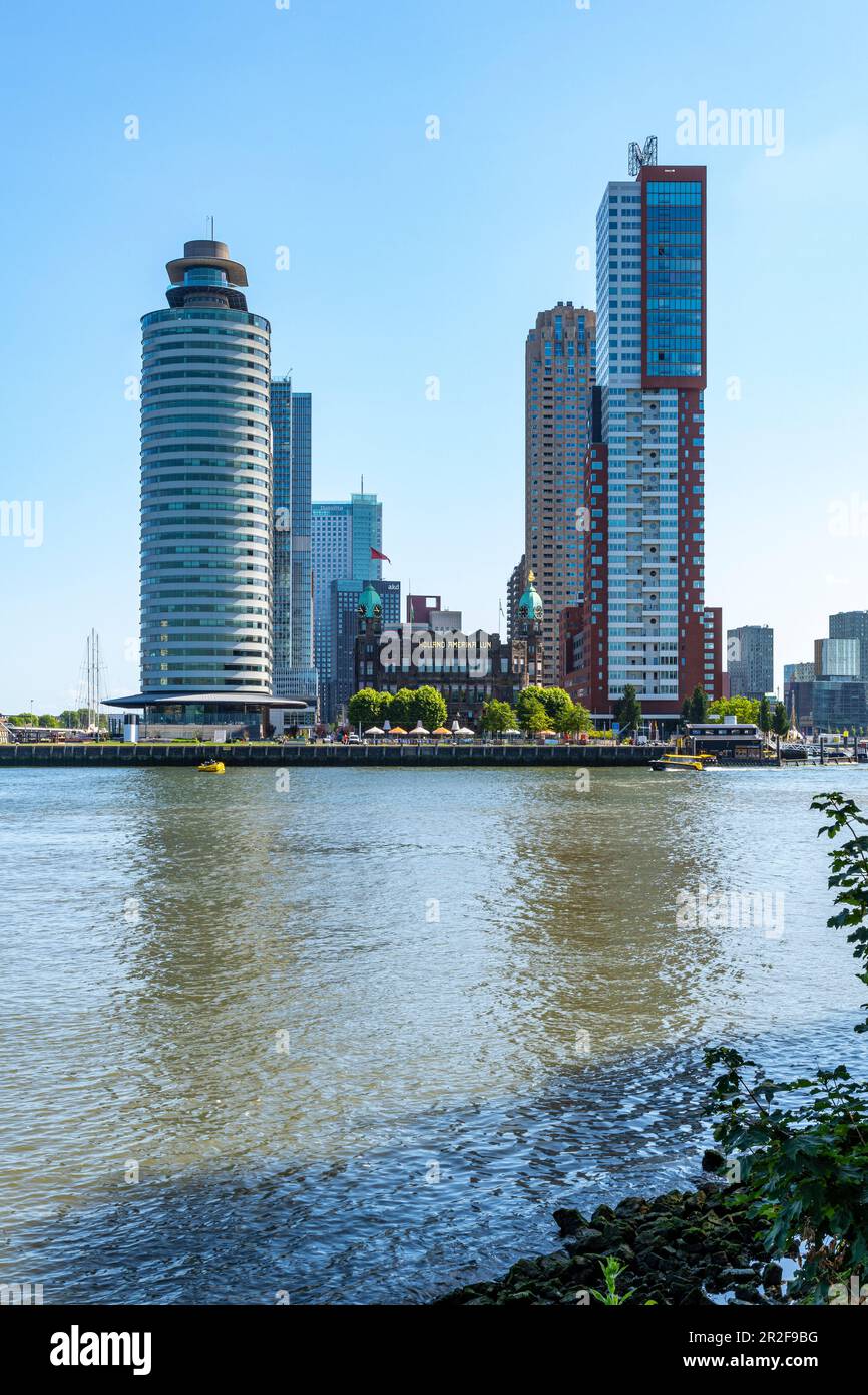 View over the New Meuse to the new district of Kop van Zuid. With the ...