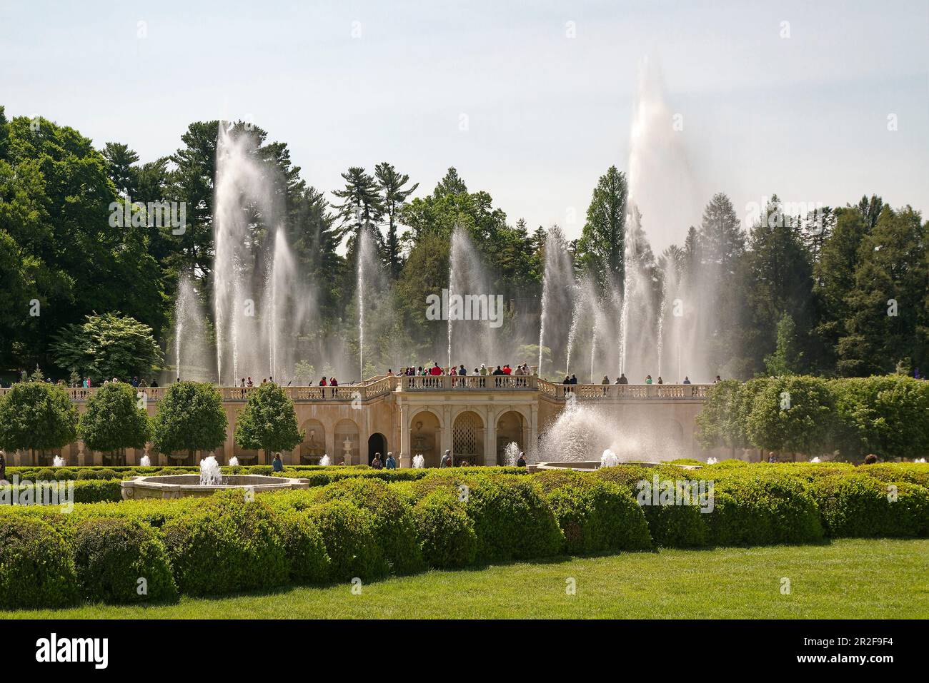 Main Fountain Garden, water spouting, trees, shrubs, green grass ...