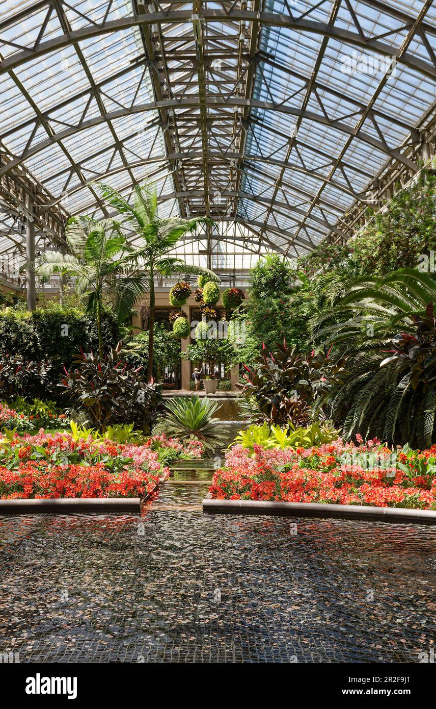 Coins in basin hi-res stock photography and images - Alamy