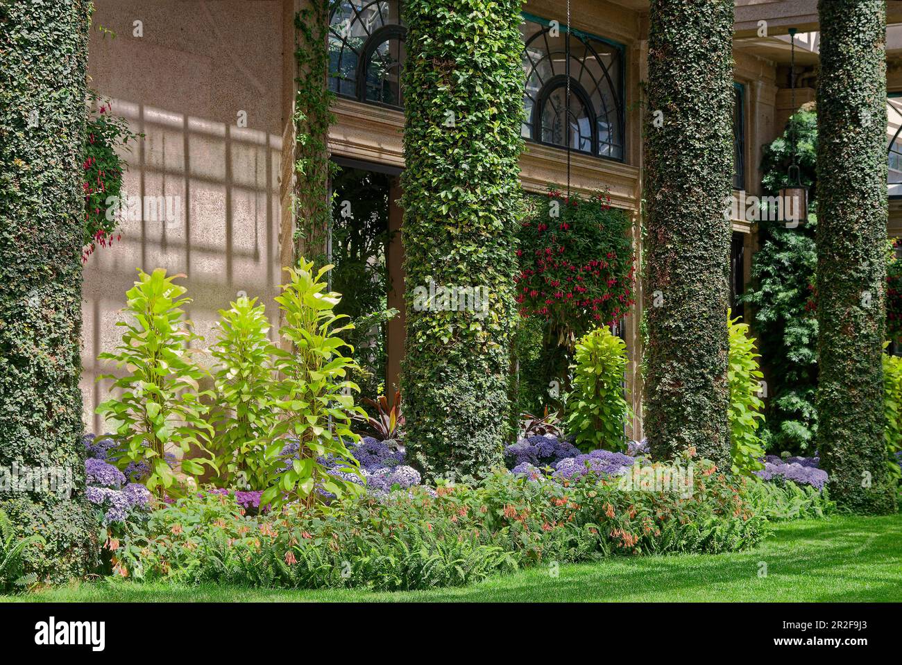 Orangery, pillars covered with green vines, flowers, plants, grass ...
