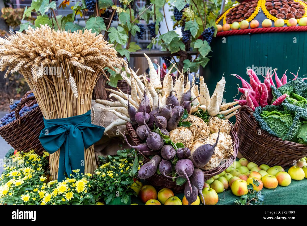 Thanksgiving, decorated baskets with harvest produce, fruit, vegetables ...