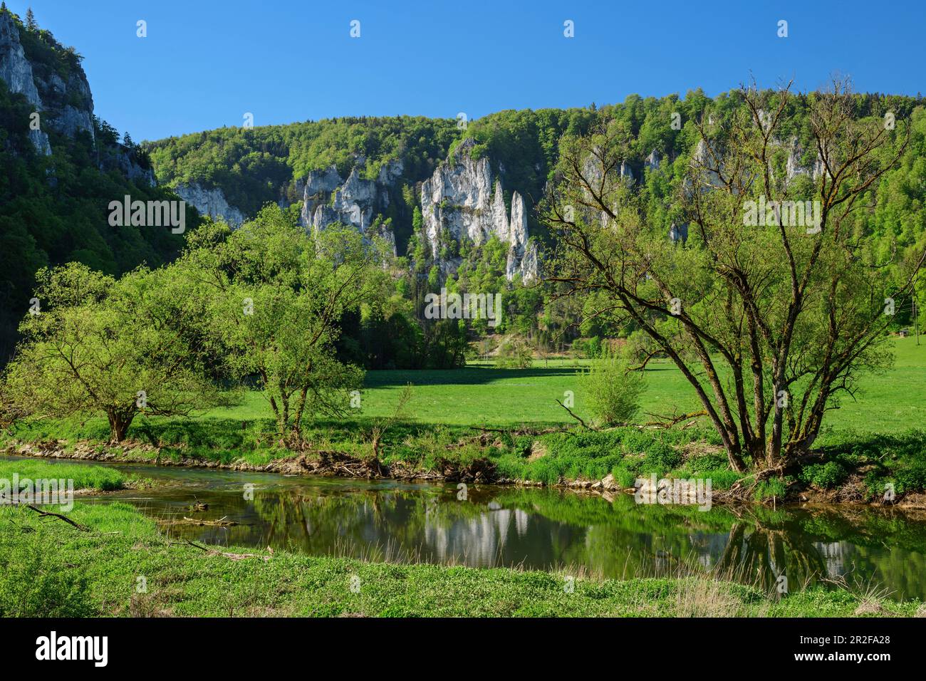 Danube with rock towers in the background, Upper Danube Valley, Danube ...