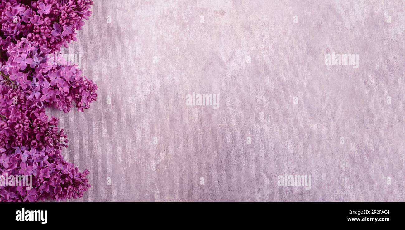 Beautiful spring lilac flowers background Stock Photo - Alamy