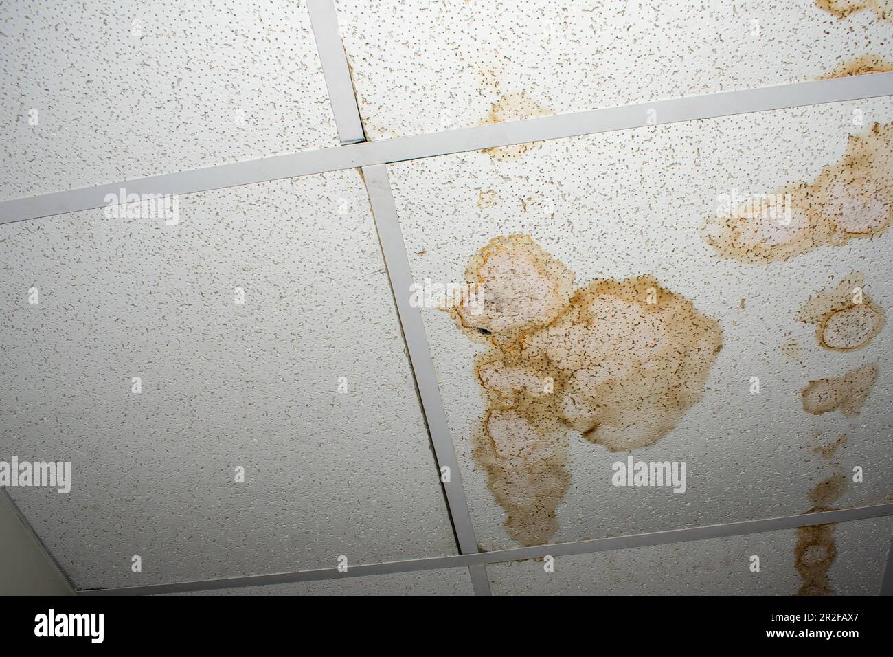 Photography of a ceiling tile damage by water Stock Photo - Alamy
