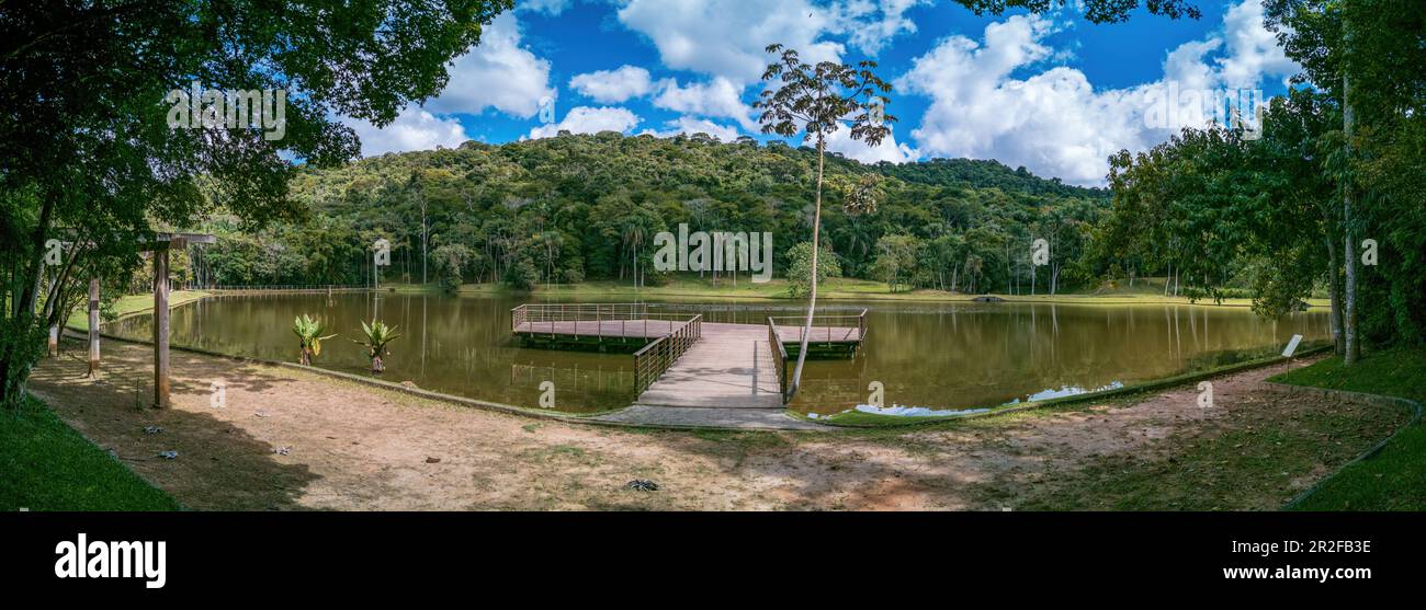 Fora botanical garden hi-res stock photography and images - Alamy