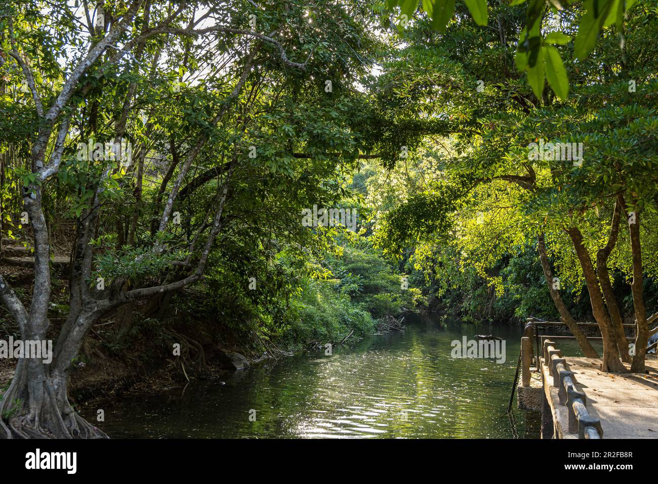Krabi hot springs hi-res stock photography and images - Alamy