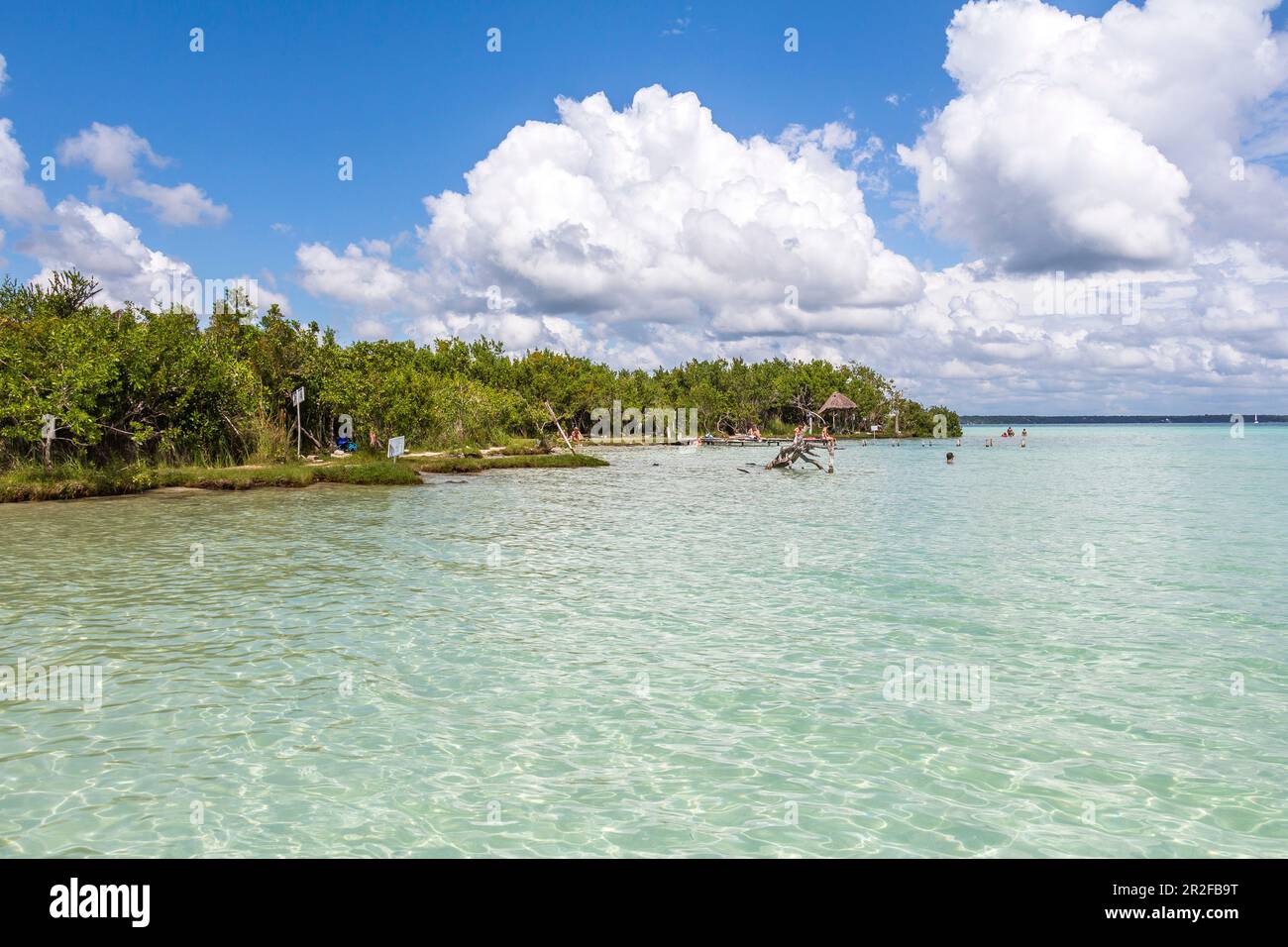 Shallow water at the lagoon of 7 colors in Bacalar, Quintana Roo ...