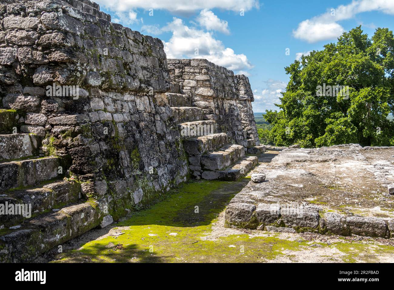 Mayan pyramid on Calakmul temple grounds in the jungle, Yucatan ...