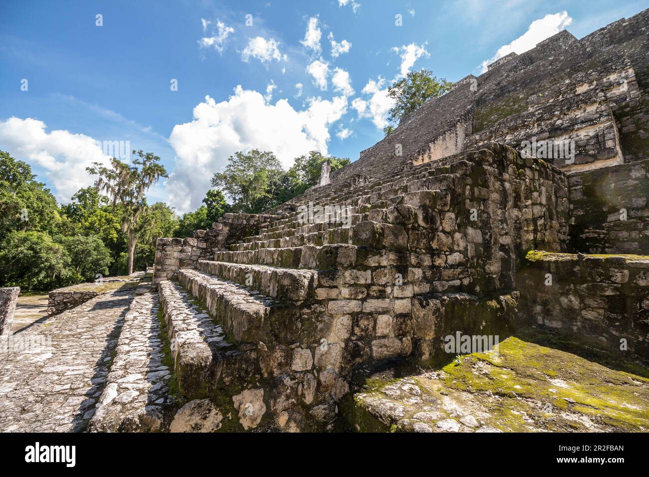 Stairs of Mayan pyramid on Calakmul temple grounds in the jungle ...