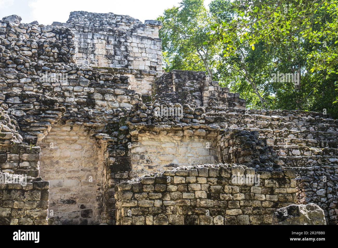 Mayan pyramid on Calakmul temple grounds in the jungle, Yucatan ...