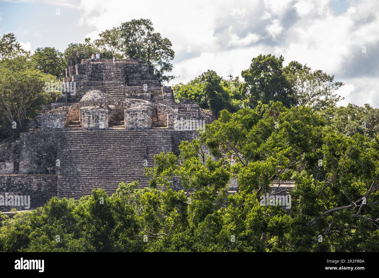 Mayan pyramid on Calakmul temple grounds in the jungle, Yucatan ...