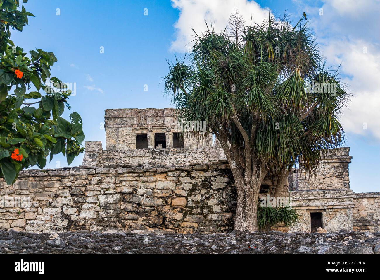 Ruins in the grounds of the Mayan sites of Tulum, Quintana Roo, Yucatan ...