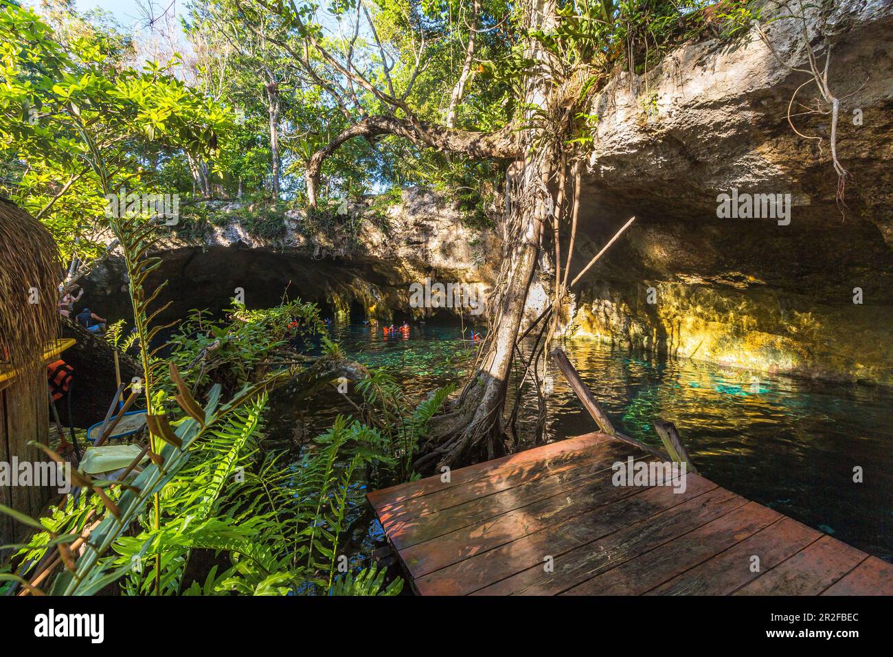 Gran Cenote - open karst cave in Tulum filled with water. Quintana Roo ...