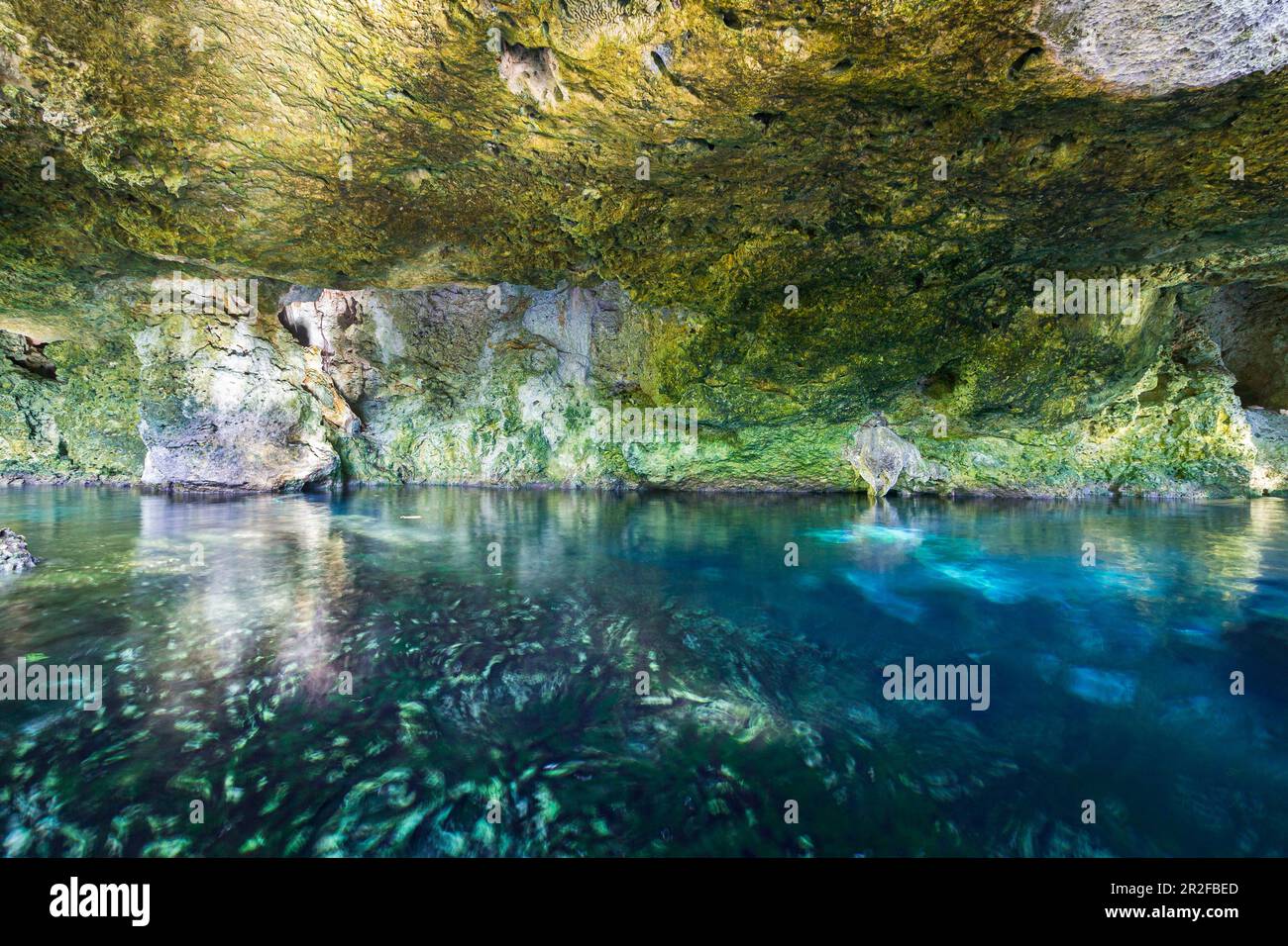 Gran Cenote - open karst cave in Tulum filled with water. Quintana Roo ...