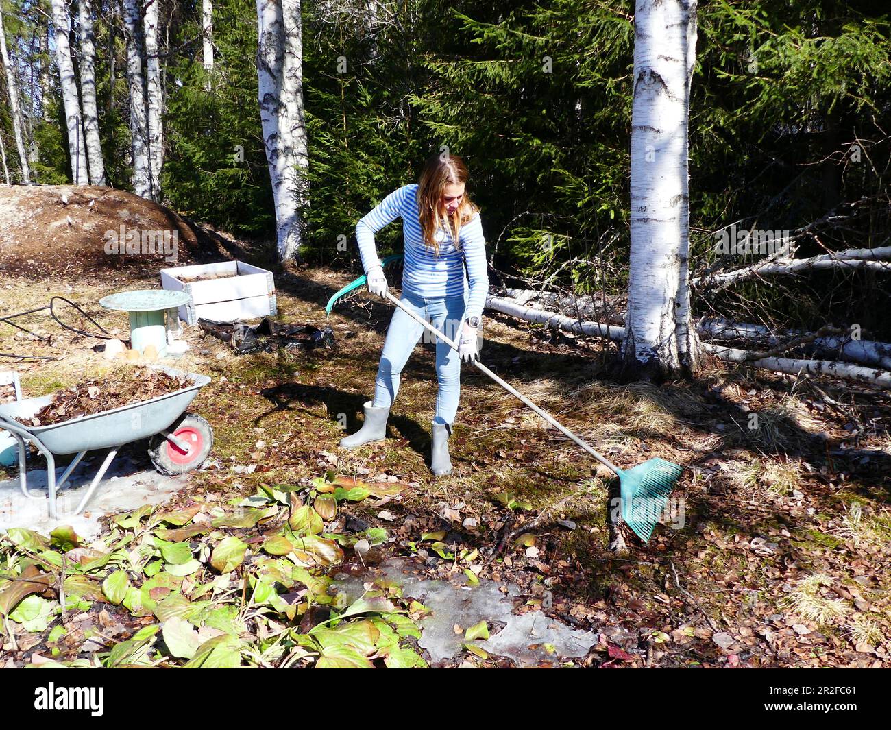 Rake garden rakes hi-res stock photography and images - Alamy