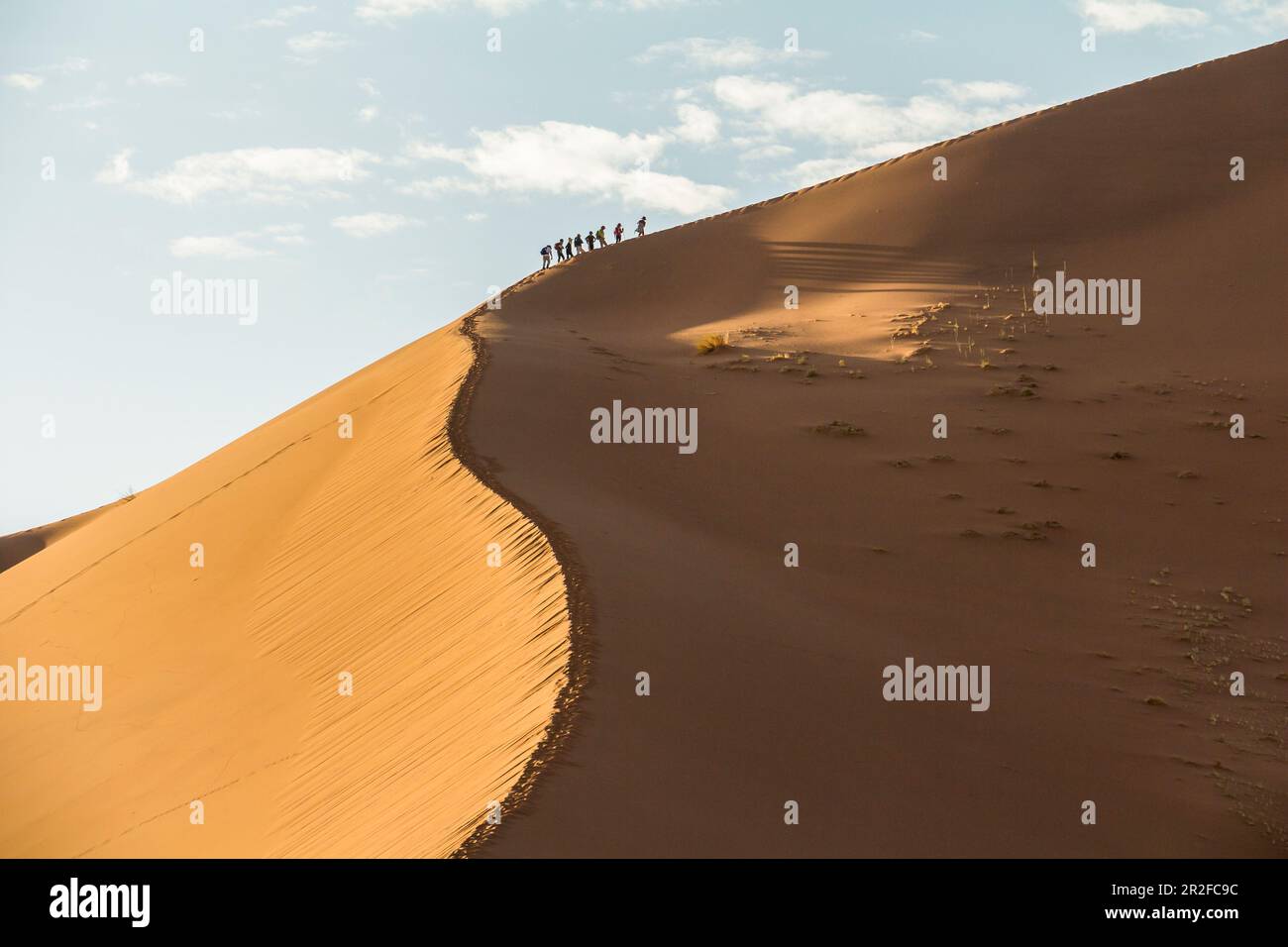 Ascent to the Big Daddy Dune at Sossusvlei in the morning light ...