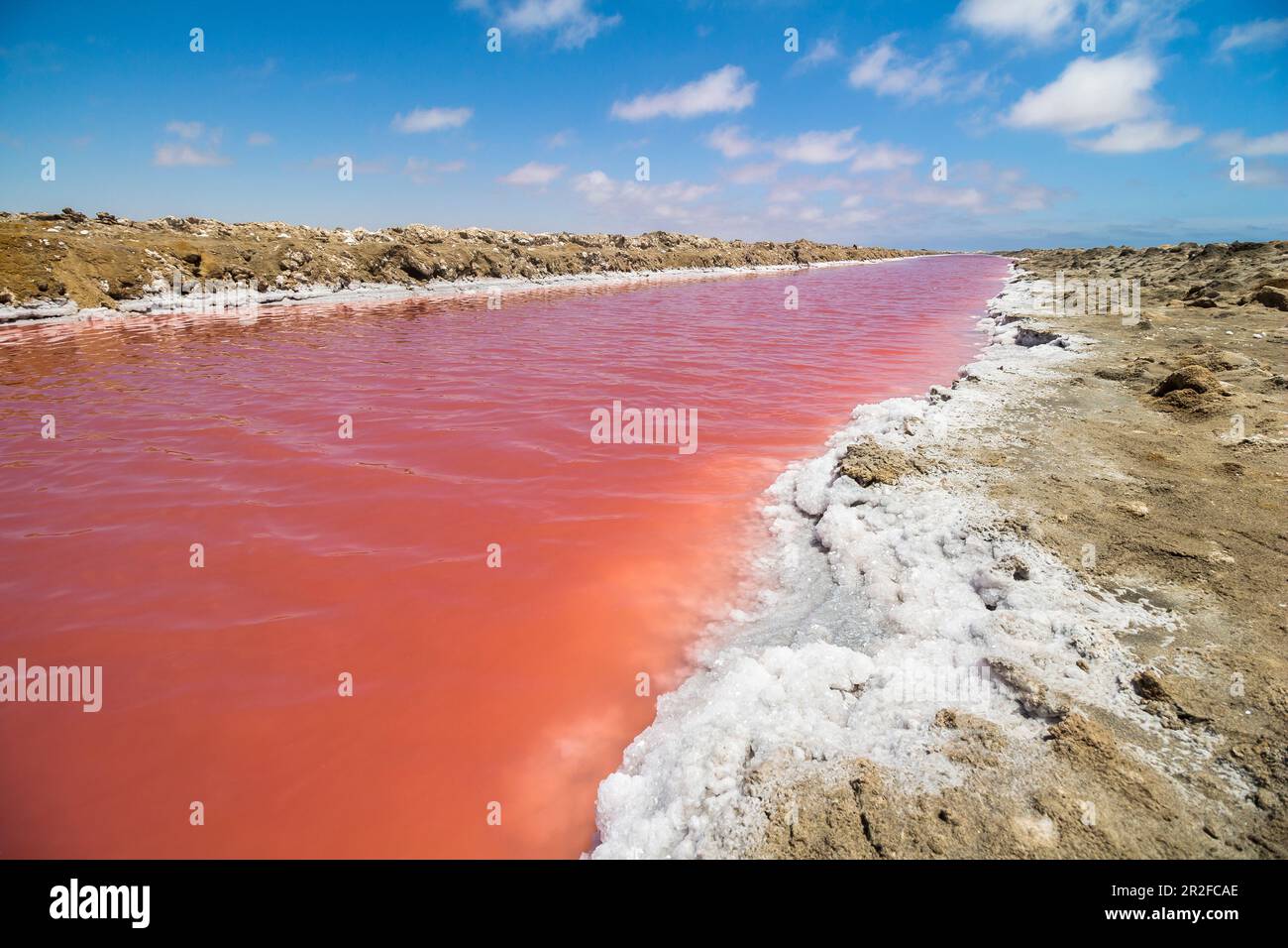 Pink watercourse at desalination plant in Walvis Bay / Walvis Bay ...
