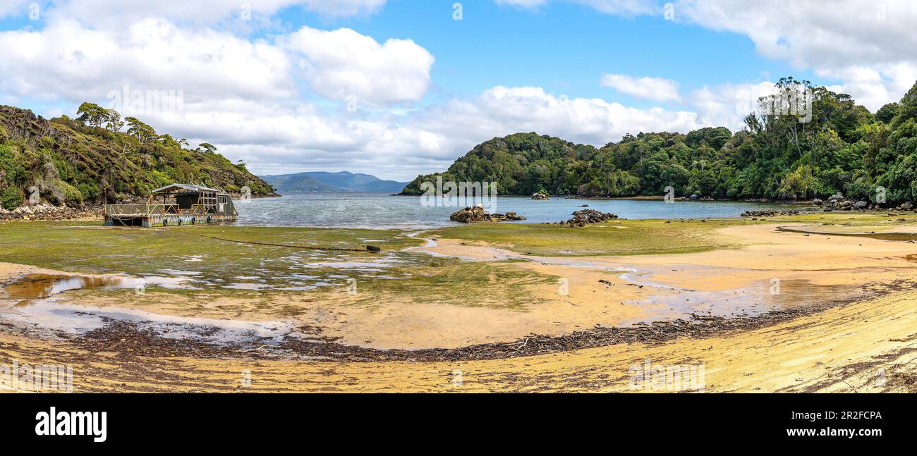 Panorama Deep Bay, Stewart Island, South Island, New Zealand Stock ...