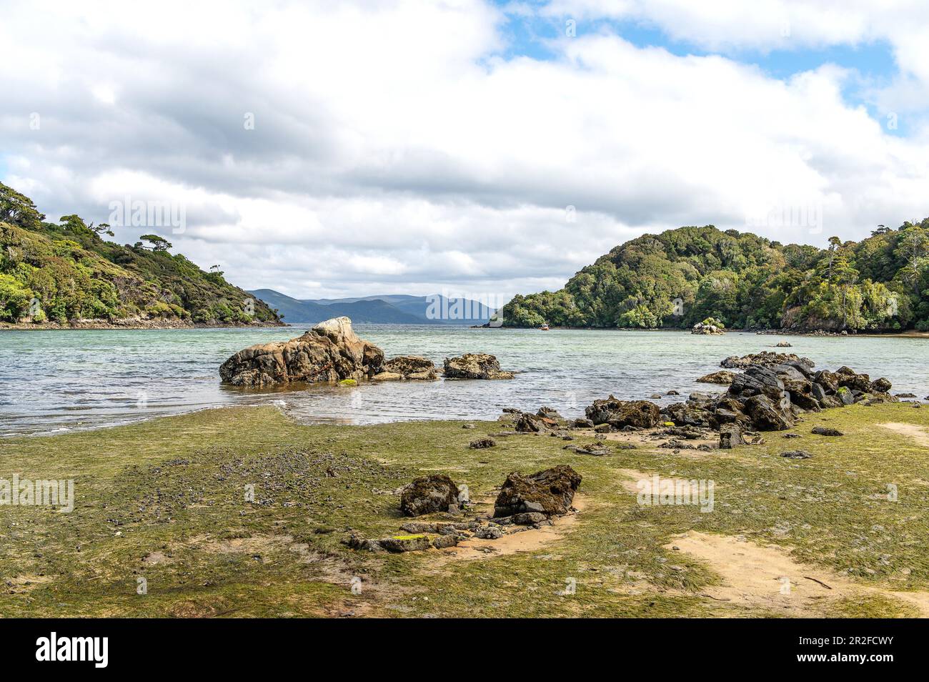 Stewart island south island new zealand hi-res stock photography and ...