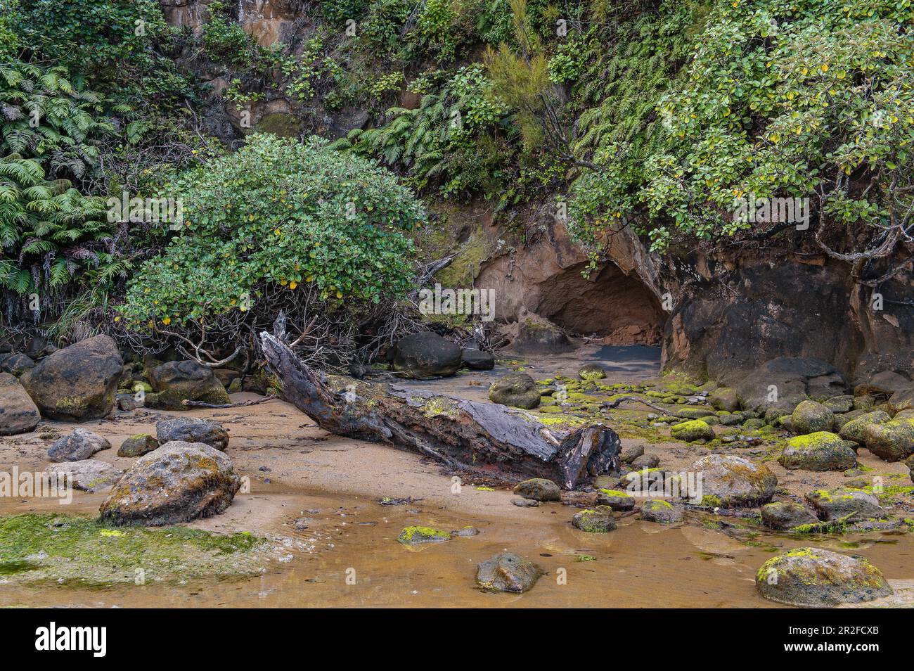 Deep Bay, Stewart Island, South Island, New Zealand Stock Photo - Alamy