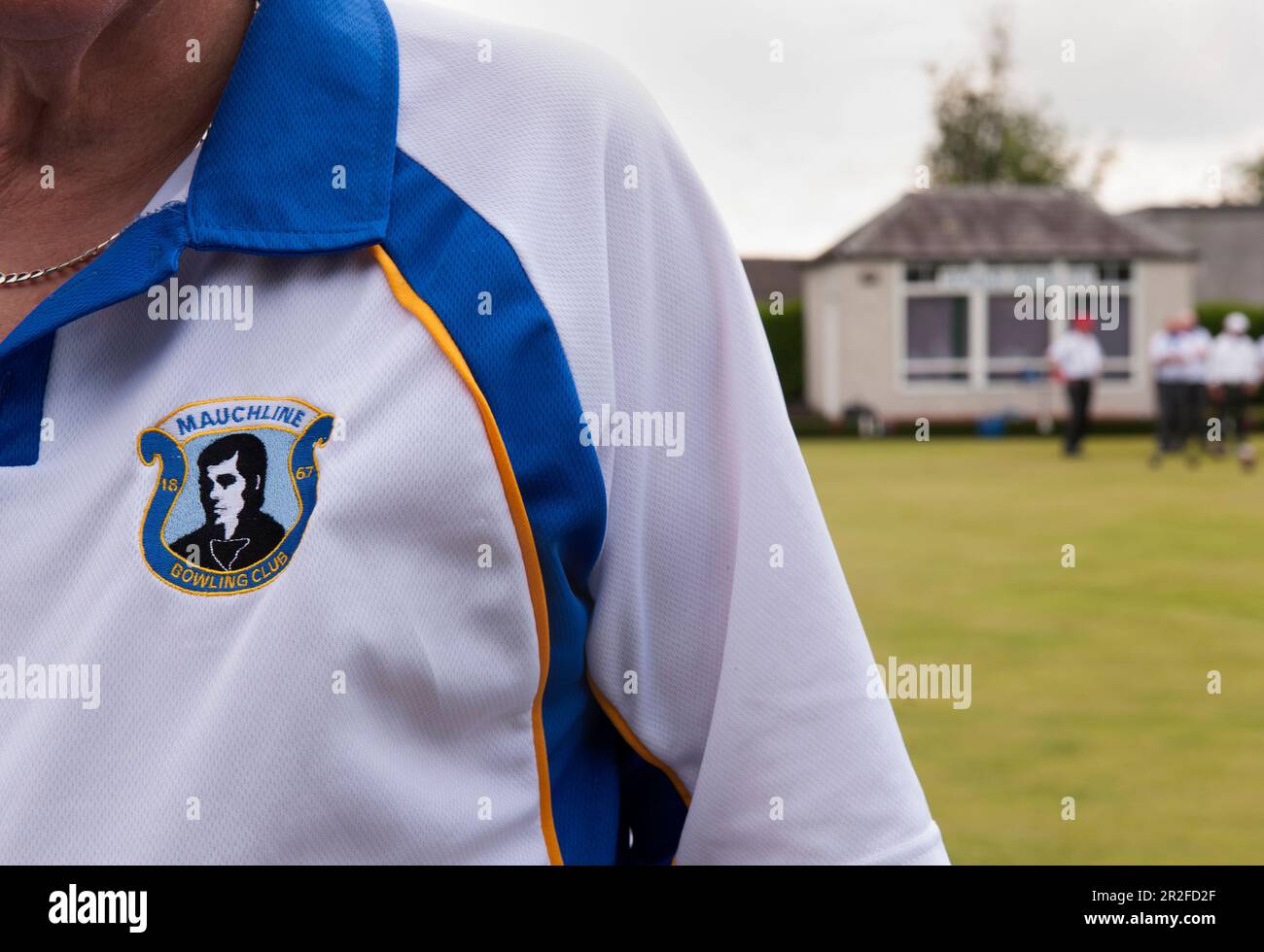 A bowler in the foreground of bowls in play wears a club polo shirt ...