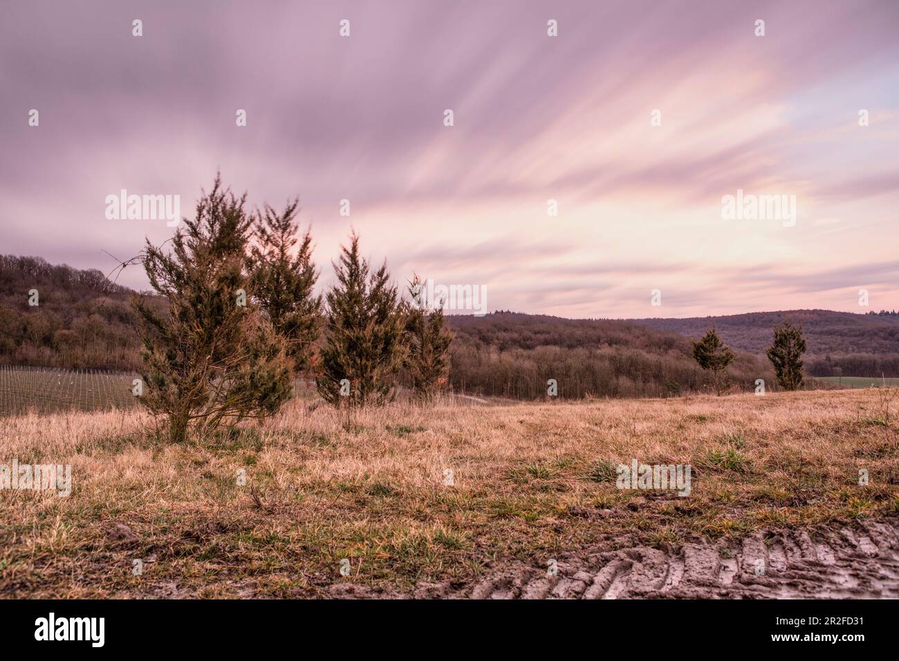 Frankenberg castle hi-res stock photography and images - Alamy