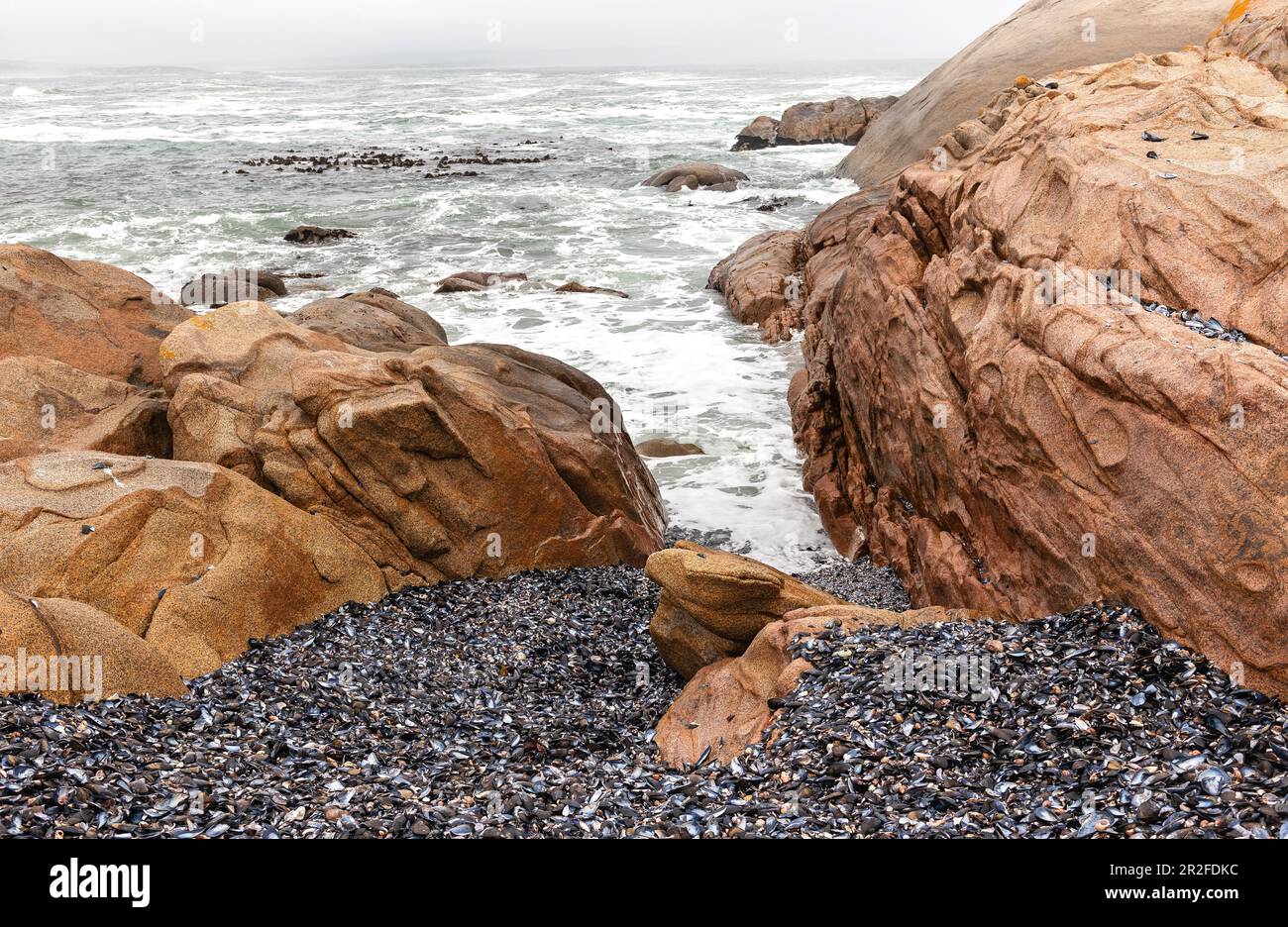 Coast, Cape Columbine Nature Reserve, Tietiesbaai, Western Cape, South ...