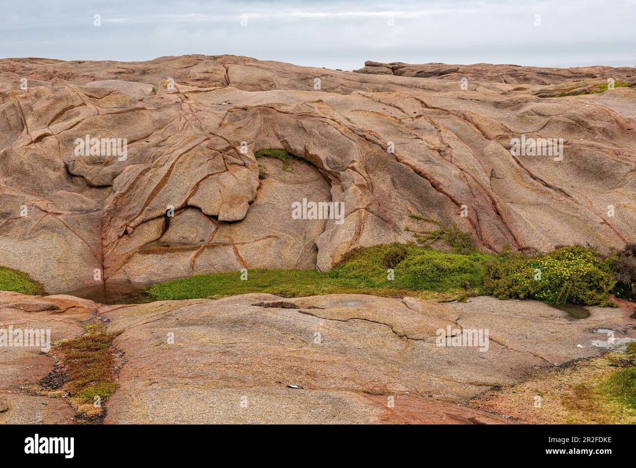 Coast, Cape Columbine Nature Reserve, Tietiesbaai, Western Cape, South ...